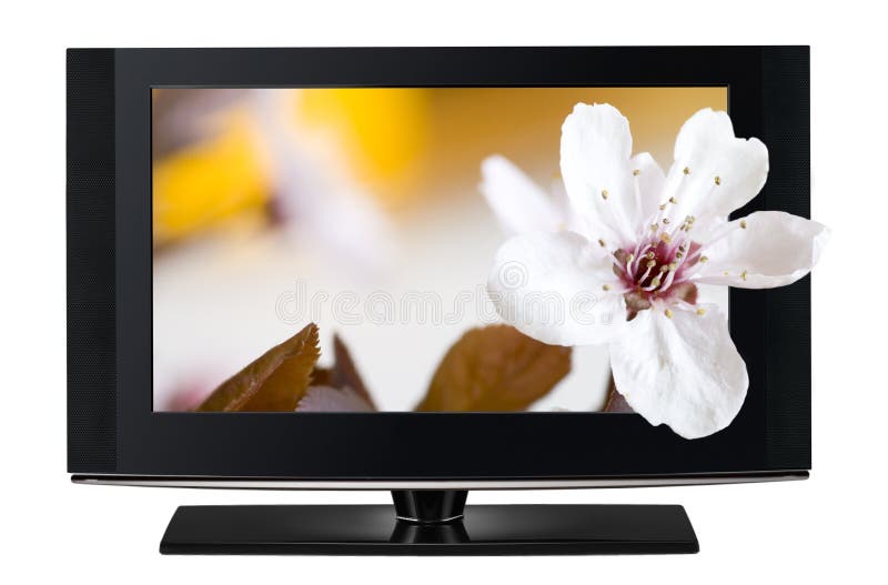 3D Television. TV LCD in HD 3D. Stock Photo - Image of flower ...