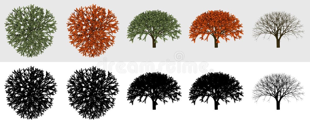 Tree 2d Stock Illustrations – 8,140 Tree 2d Stock Illustrations ...