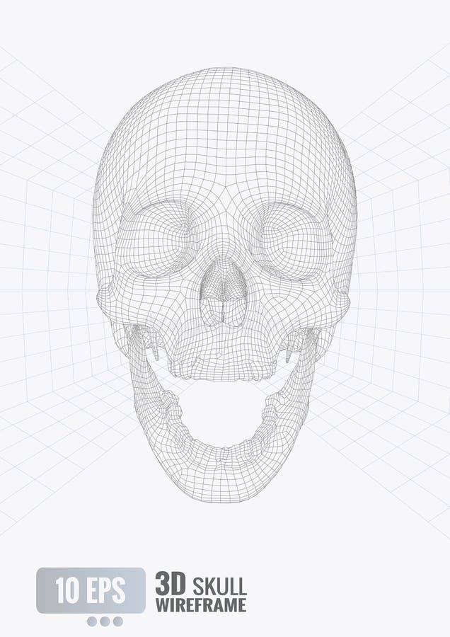 3+ Skull wireframe Free Stock Photos - StockFreeImages