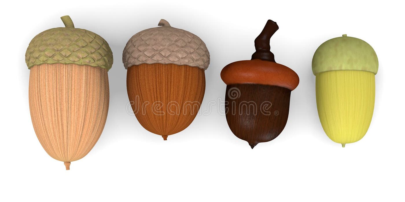 Acorn 3d Model Stock Illustrations – 30 Acorn 3d Model Stock ...