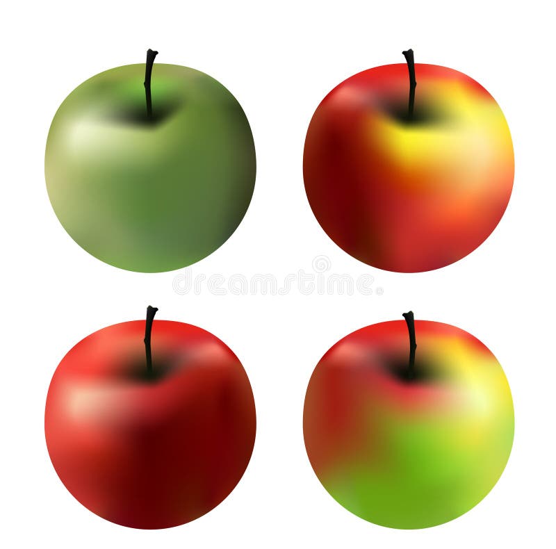 4 apples stock vector. Illustration of nutritional, delicious - 21128643