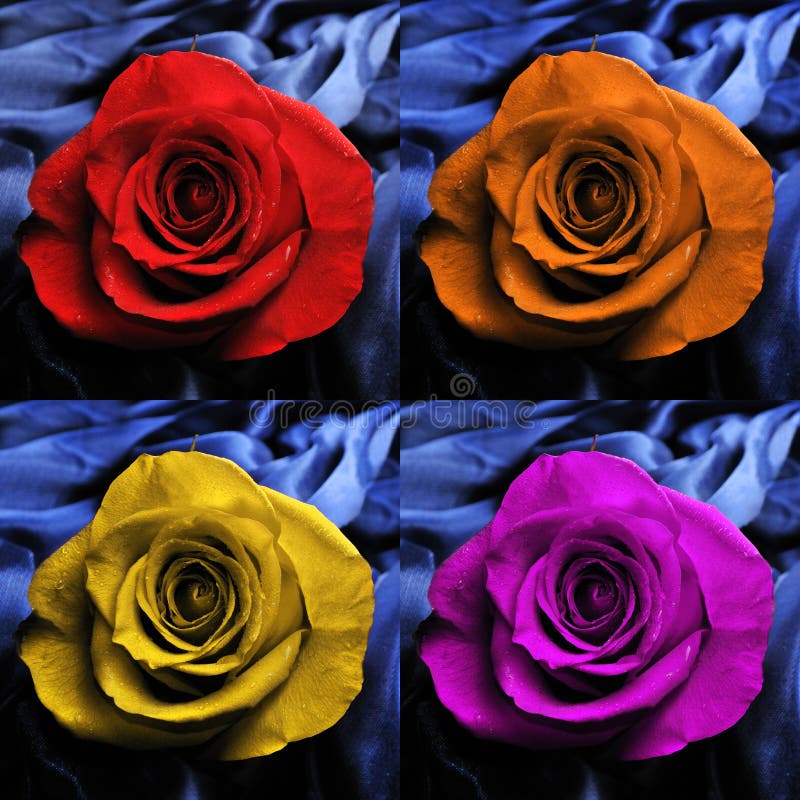 Colorful Roses Bouquet in Vase Stock Photo - Image of artificial ...