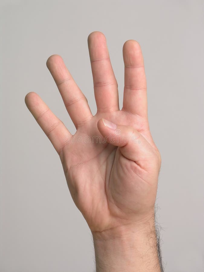 4 fingers - 3 stock photo. Image of index, ring, pinkie - 3136970