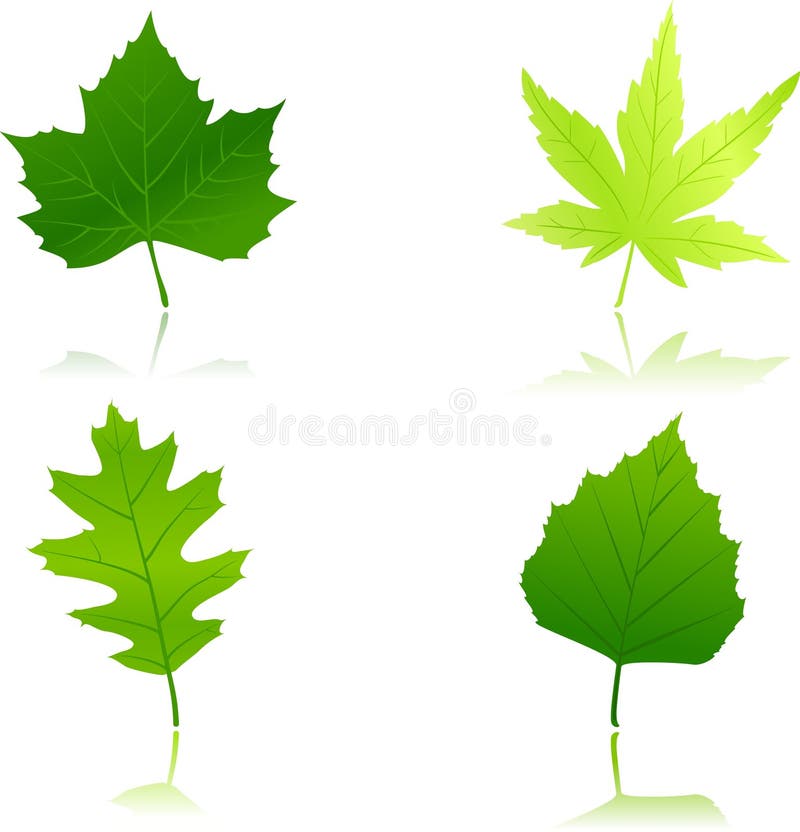 Green Spring Leaves Texture Seamless Pattern Stock Vector ...