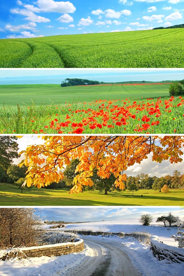 4 seasons collection stock image. Image of plant, leaf - 19133961