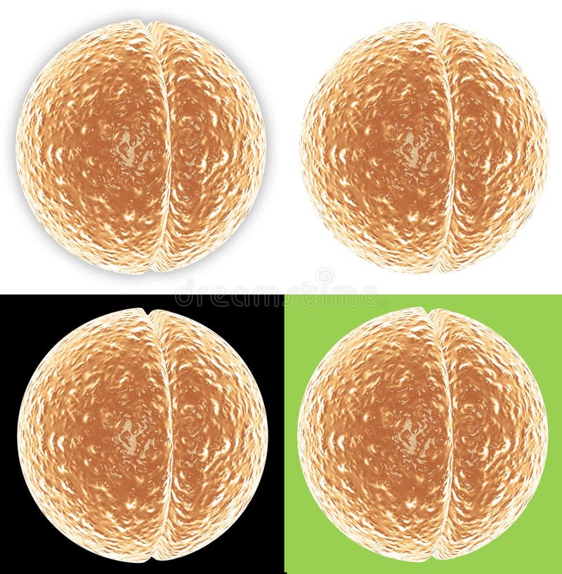 4 Versions of Cell Dividing Stock Illustration - Illustration of ...