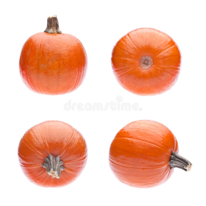 4 Views of a Pumpkin stock photo. Image of side, isolated - 11257798