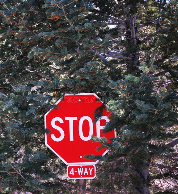 4-Way Stop Sign stock image. Image of highway, road, green - 8583557