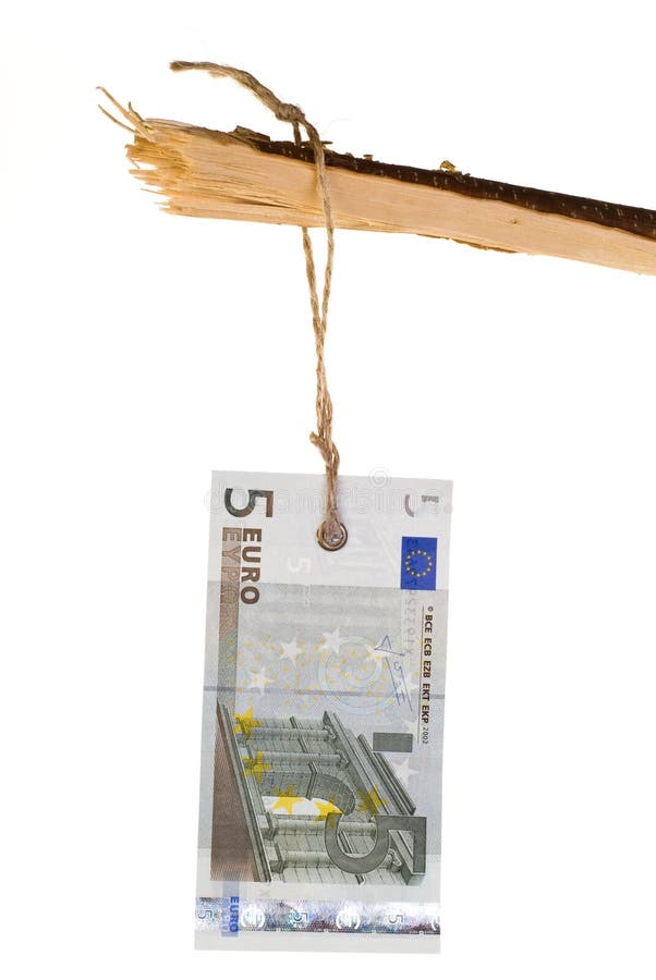 5 euro tag on branch stock image. Image of euro, price - 19742893