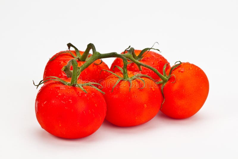 5 Tomatoes stock image. Image of five, vegetable, tomatos - 13134749