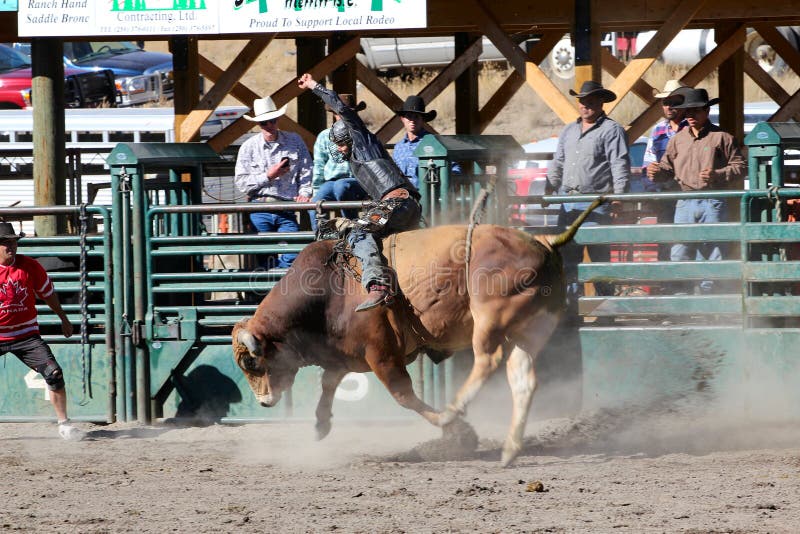 52nd Annual Pro Rodeo editorial photo. Image of dust - 20997201