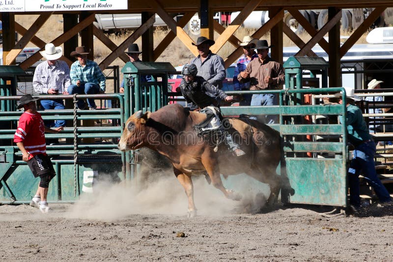 Extreme Rodeo editorial stock photo. Image of extreme - 25923553