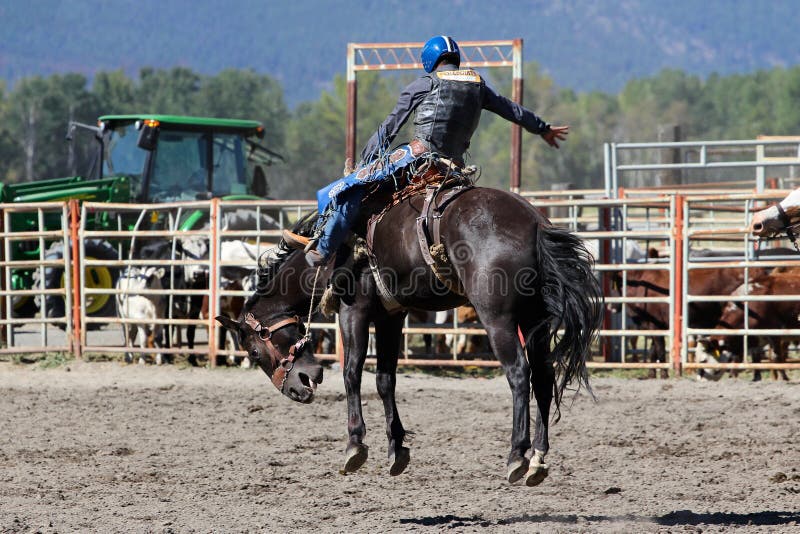 52nd Annual Pro Rodeo editorial photo. Image of ride - 20997706