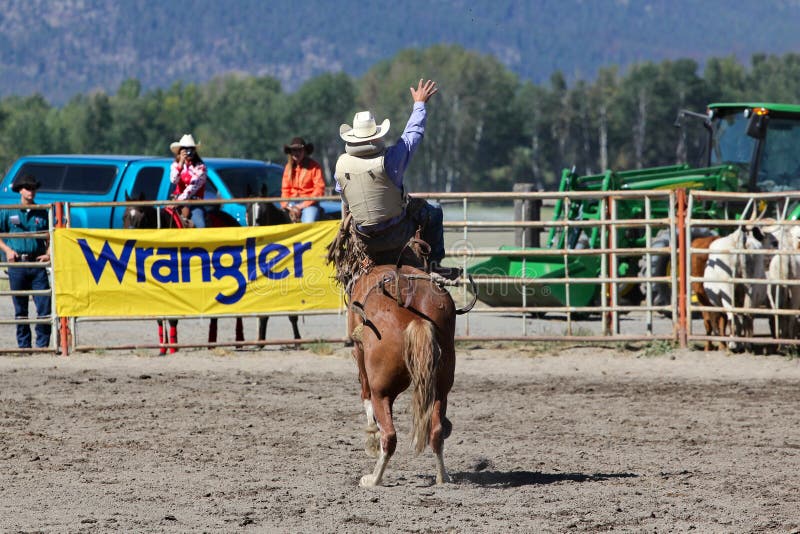 52nd Annual Pro Rodeo editorial photo. Image of ranch - 20997731