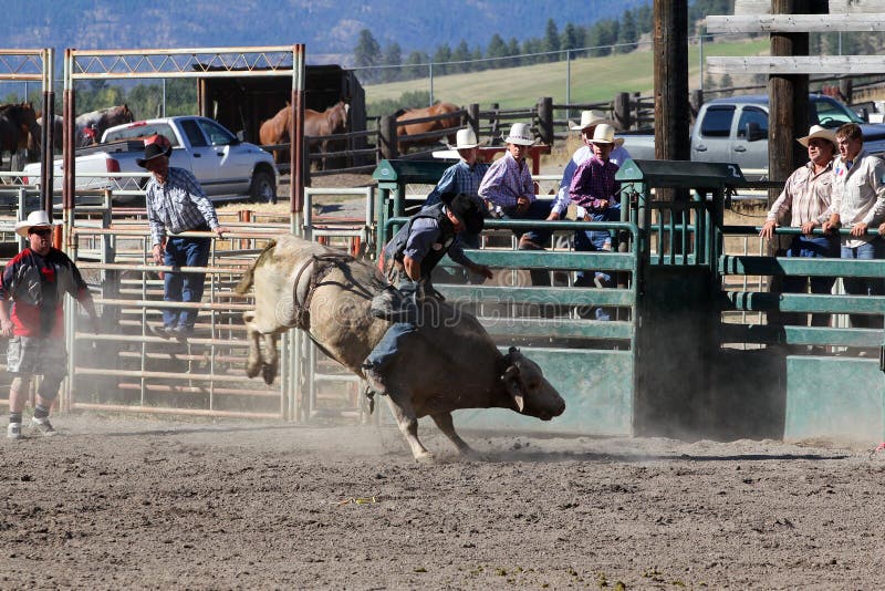 52nd Annual Pro Rodeo editorial photo. Image of competition - 21008076