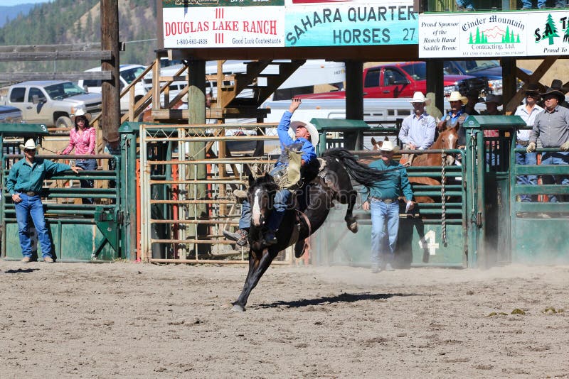 52nd Annual Pro Rodeo editorial photography. Image of rope - 21011407