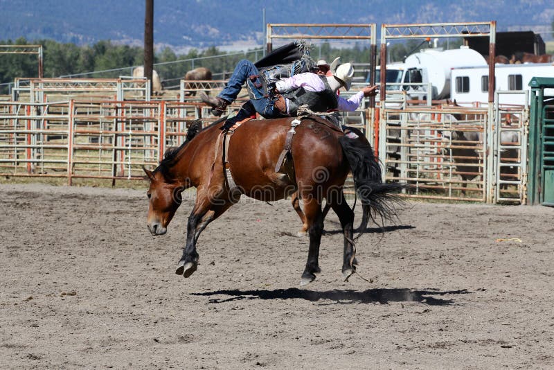 52nd Annual Pro Rodeo editorial stock image. Image of competitors ...