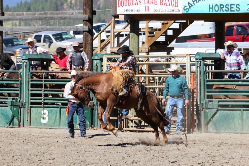 52nd Annual Pro Rodeo editorial stock image. Image of country - 21037354
