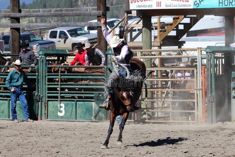 52nd Annual Pro Rodeo editorial stock image. Image of compete - 21037439