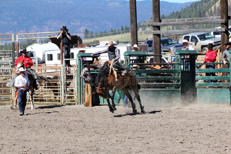 52nd Annual Pro Rodeo editorial stock image. Image of rope - 21037574