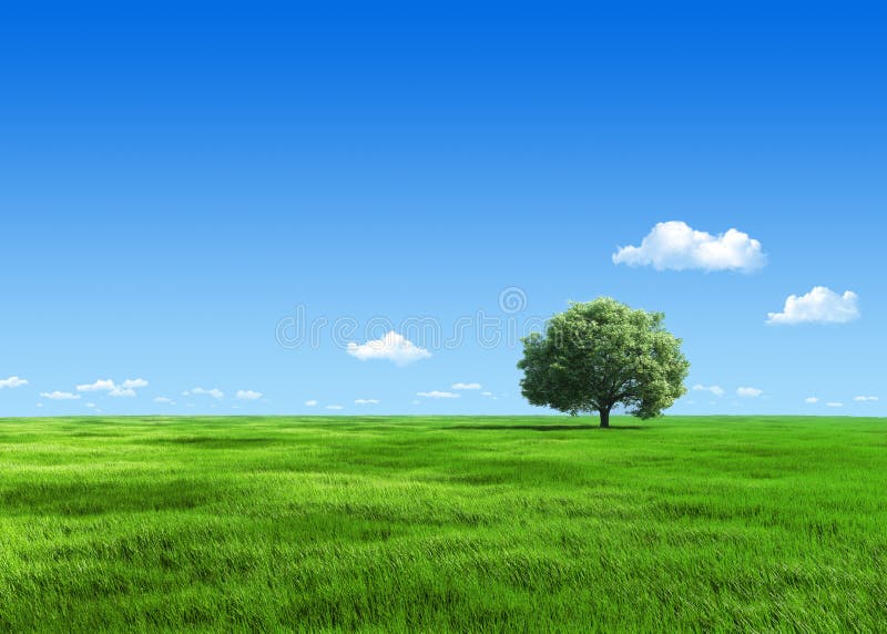 6000px Nature - Green Meadow 1 Tree Template Stock Illustration ...