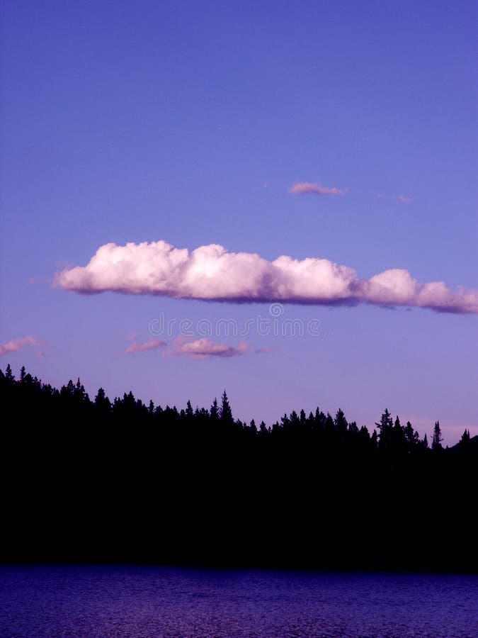6407 Clouds Blue Sky Treeline Stock Photo - Image of clouds, trees: 2629806