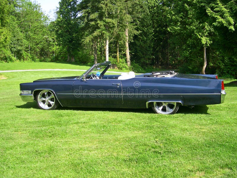 69 Caddy stock photo. Image of green, smoothe, cold, drop - 1865916