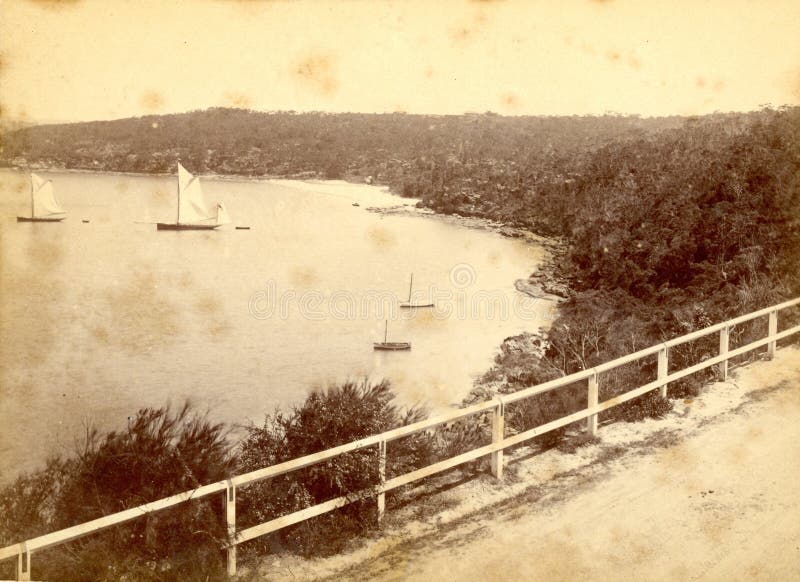 7. Spit Road And Middle Harbour Picture. Image: 222381497