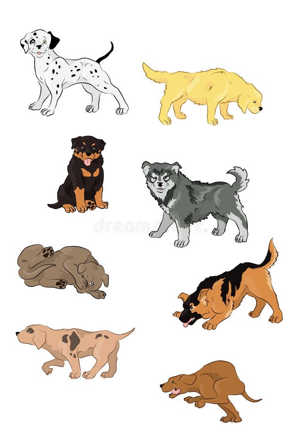 8 puppies stock vector. Illustration of canine, german - 28079589