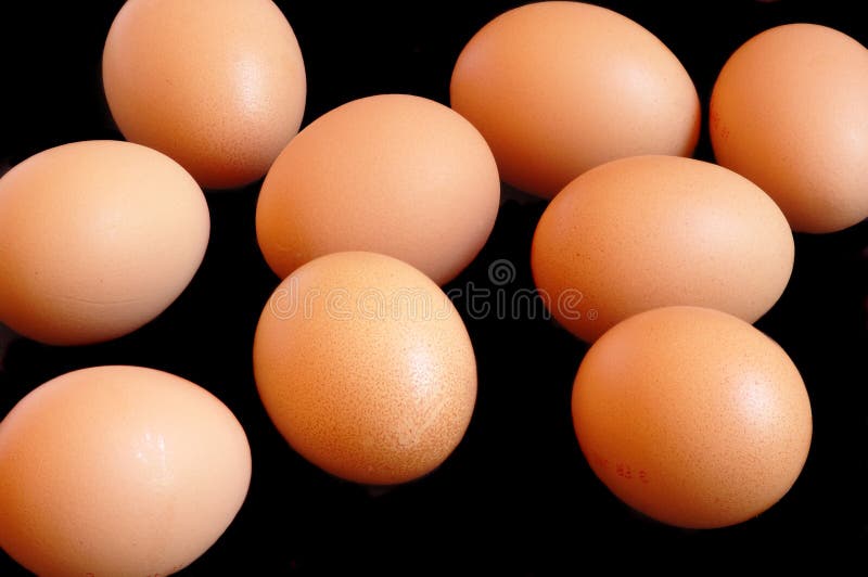 9 Eggs On Black Background Picture. Image: 1028828
