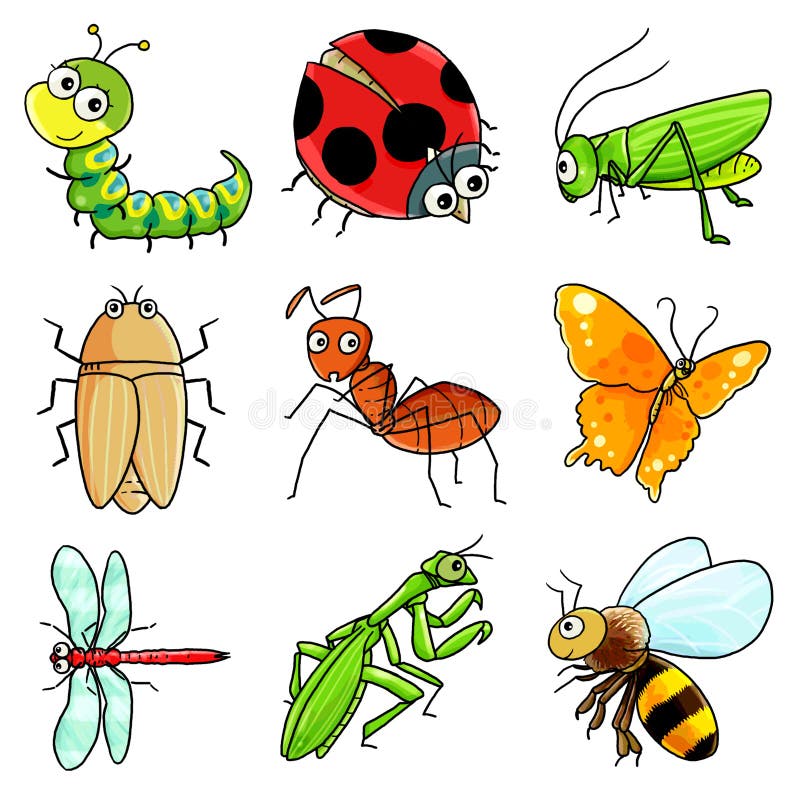 Het Pictogram Van Het Insecteninsect Op Witte Achtergrond Voor Grafisch ...