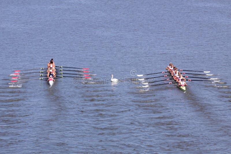 Eight man rowing shell stock photo. Image of shimmer, active - 2578162
