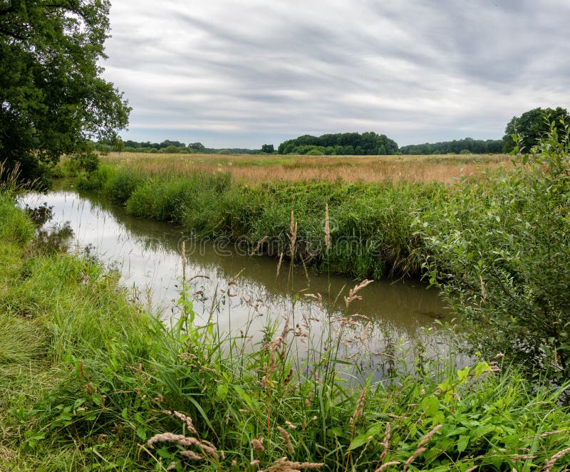 The Aa River in the Fields of Drenthe, the Netherlands Stock Image ...
