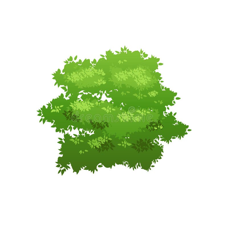 Struik Stock Illustrations, Vectors, & Clipart – (167,718 Stock ...