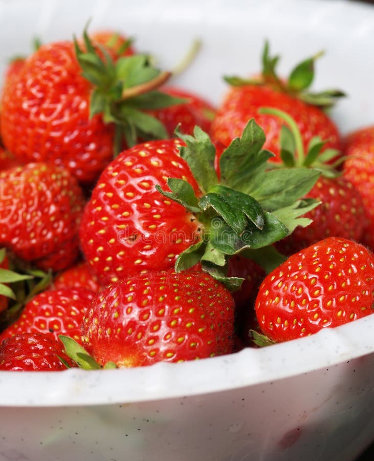 Aardbeien stock afbeelding. Image of nave, hoeveelheid - 10704459