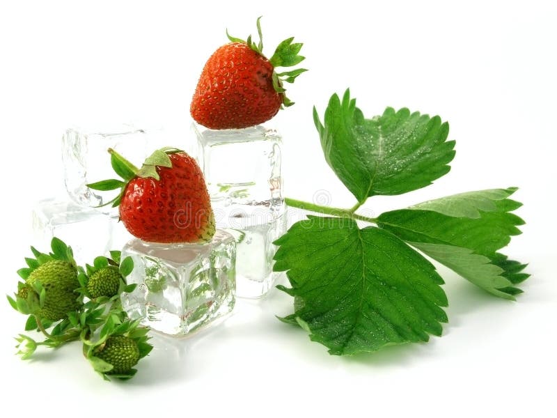 Aardbeien stock afbeelding. Image of achtergrond, vrucht - 2557155