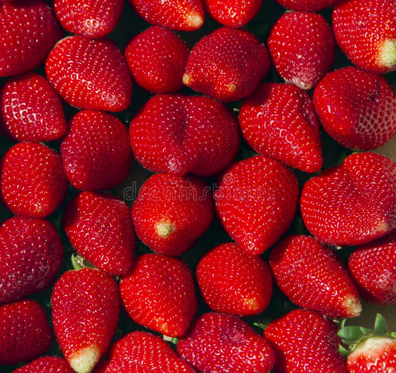 Aardbeien stock afbeelding. Afbeelding bestaande uit versheid - 39885633