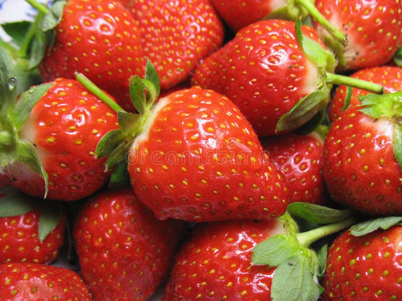 Aardbeien stock afbeelding. Image of aardbei, gezondheid - 7663161