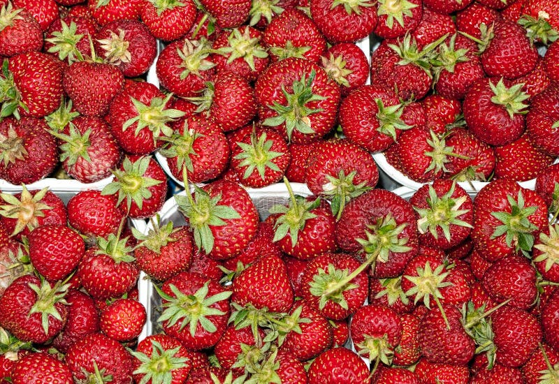 Bakjes Van Verse Aardbeien in Een Supermarkt Stock Foto - Image of rood ...