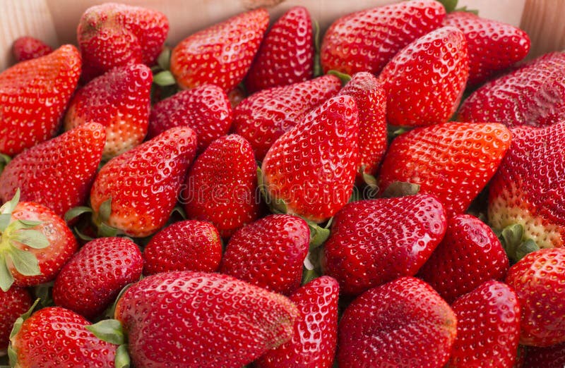 Aardbeien stock afbeelding. Image of nagerecht, houten - 94800761