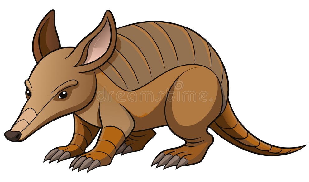 Aardvark Aggressive Digging Posture Insectivore Nocturnal Behavior Stock Image - Image of ...