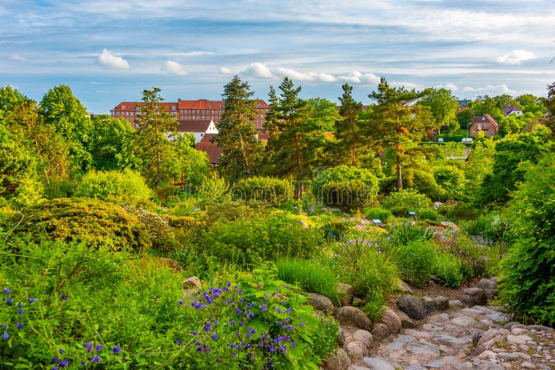 Aarhus Botanical Garden in Denmark Stock Image - Image of green ...
