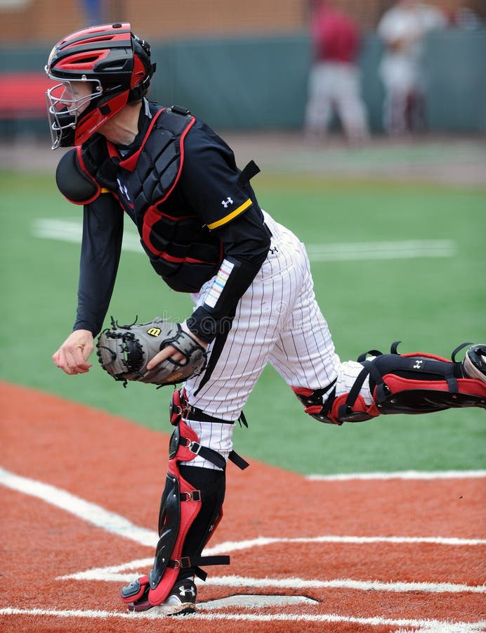 Aaron Etchison - Colector Del Béisbol De La Universidad Imagen de ...