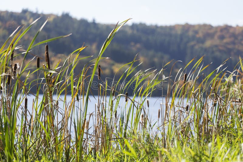 Aartal Lake Dam Hesse Germany Stock Image - Image of summer, hessen ...