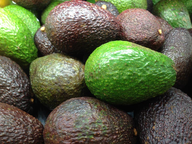 Abacate Com a Pele Roxa, Misturada Com O Abacate Com Pele Verde Foto de ...