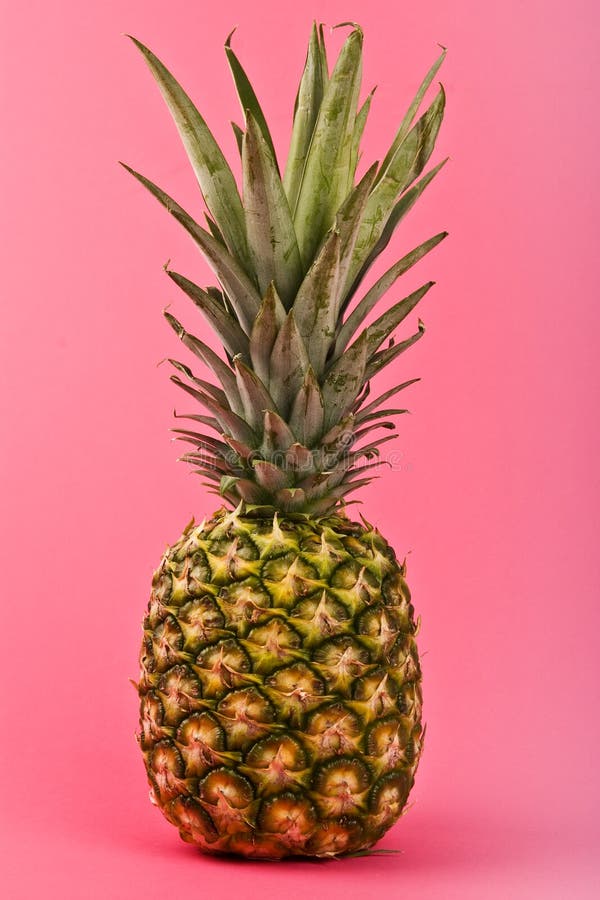 Abacaxi Na Cor-de-rosa Brilhante Foto de Stock - Imagem de vitaminas ...