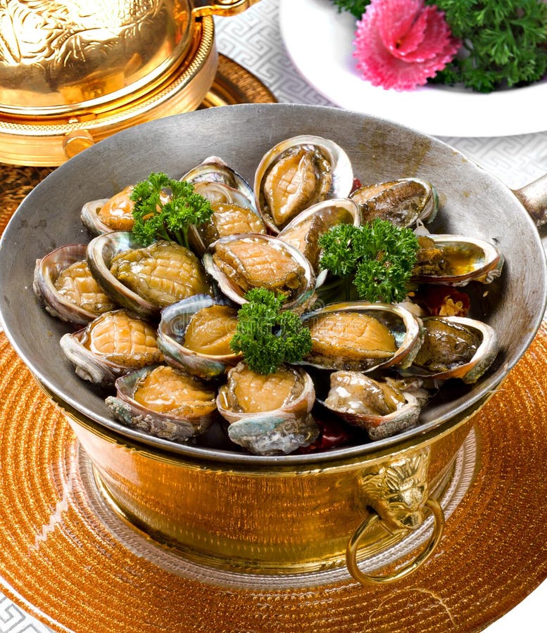 Live Abalones stock image. Image of ocean, aquaculture - 26457293