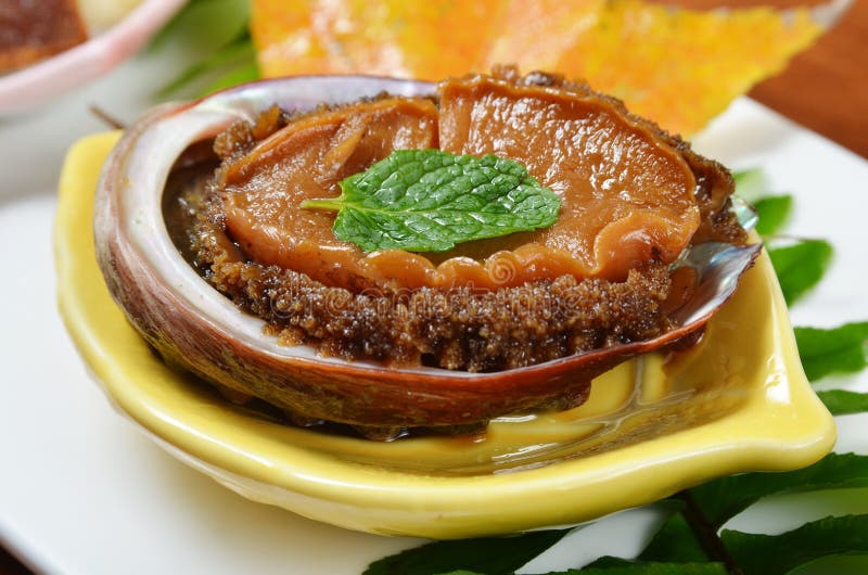 Abalone stock photo. Image of shell, petite, nutrition - 36401916