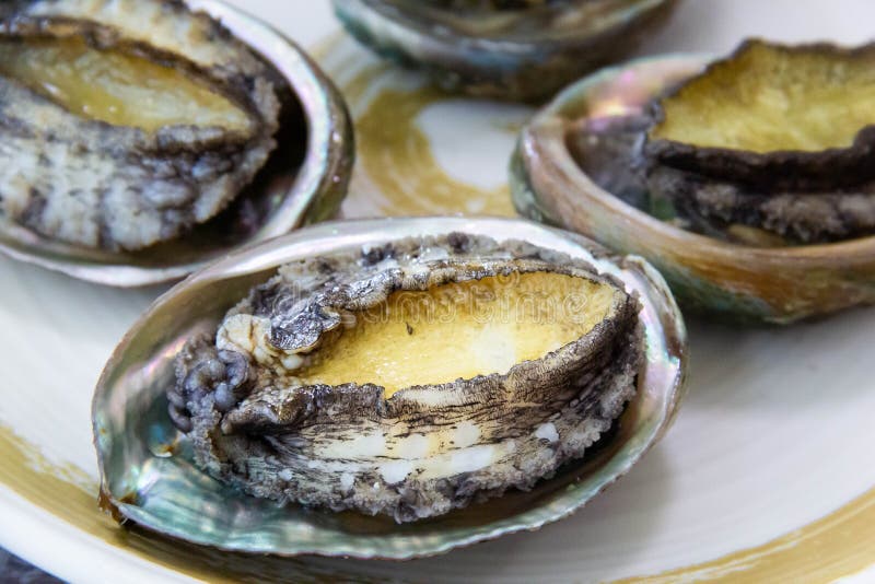 Abalone Grelhado Com Concha Imagem de Stock - Imagem de torrado, dieta ...