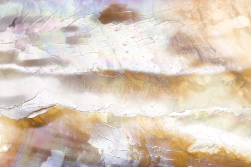 Abalone Shell Texture Shot with Macro Lens Stock Image - Image of ...